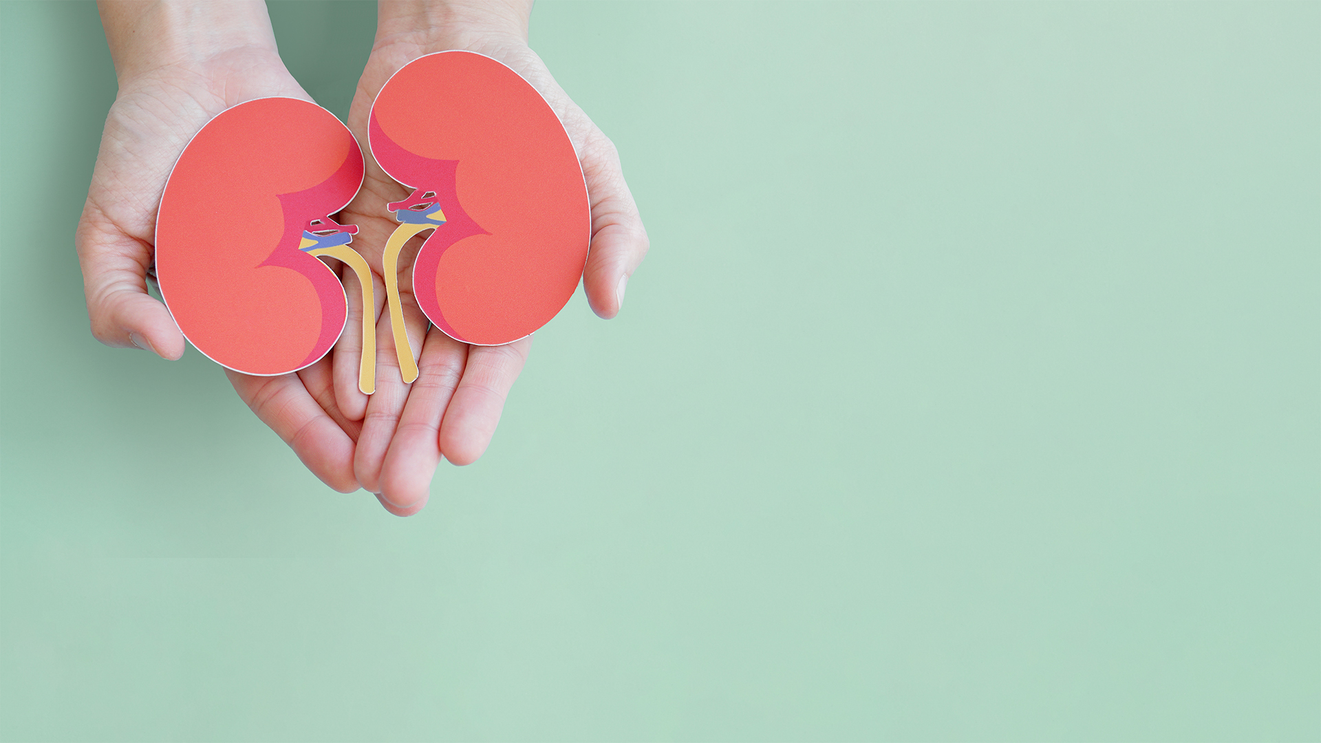 Ny behandlingsstrategi for kronisk nyresygdom - BestPractice Nordic